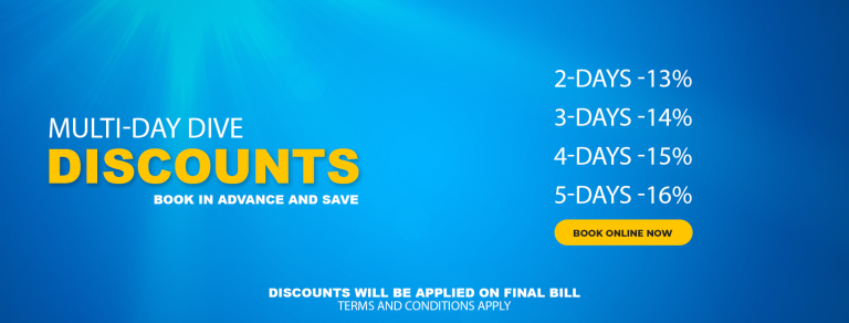 Scuba Diving from Koh Samui. Tours ‣ The Dive Academy Samui